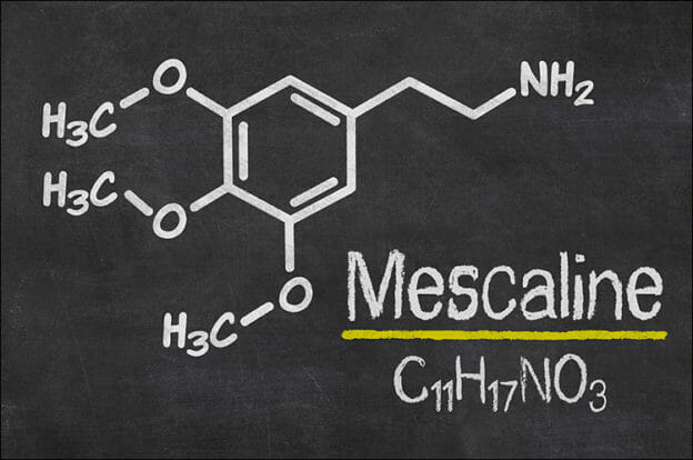 What Is Mescaline and What Are Its Effects?丨Summit Malibu