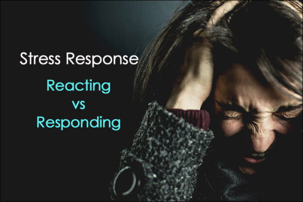 Stress Response of Reacting vs. Responding - Summit Malibu