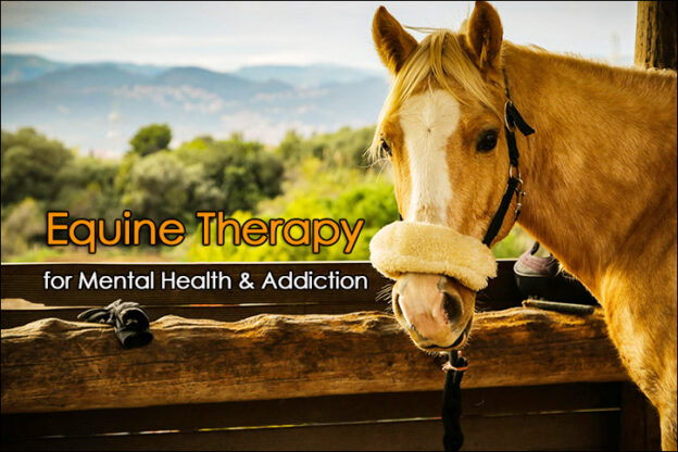 Equine Therapy for Mental Health and Addiction - Summit Malibu