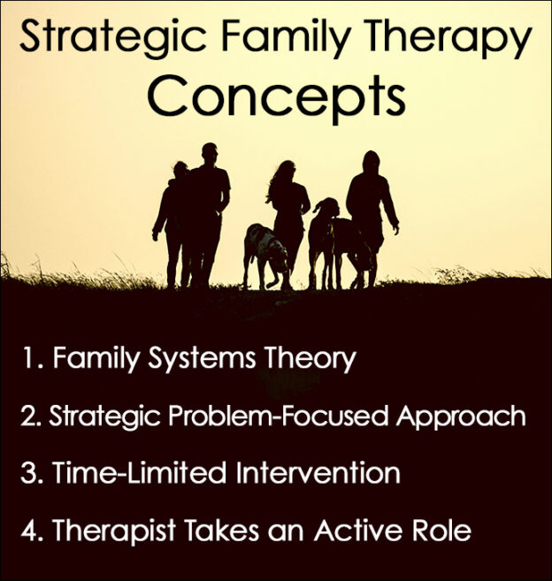 Strategic Family Therapy Techniques and Concepts | Summit Malibu